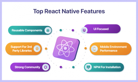 Expert Guide to React Native Framework for Non-technical Owners