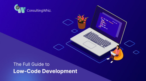 Learn Everything About Low-code Development Services